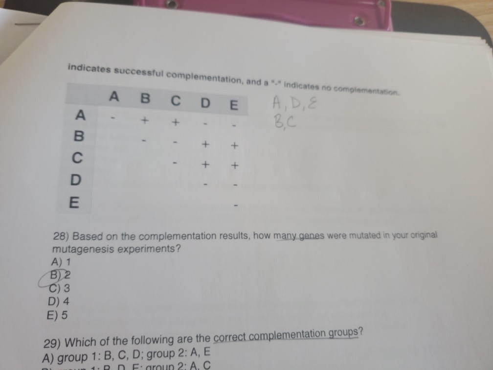 Solved indicates successful complementation, and a "." | Chegg.com