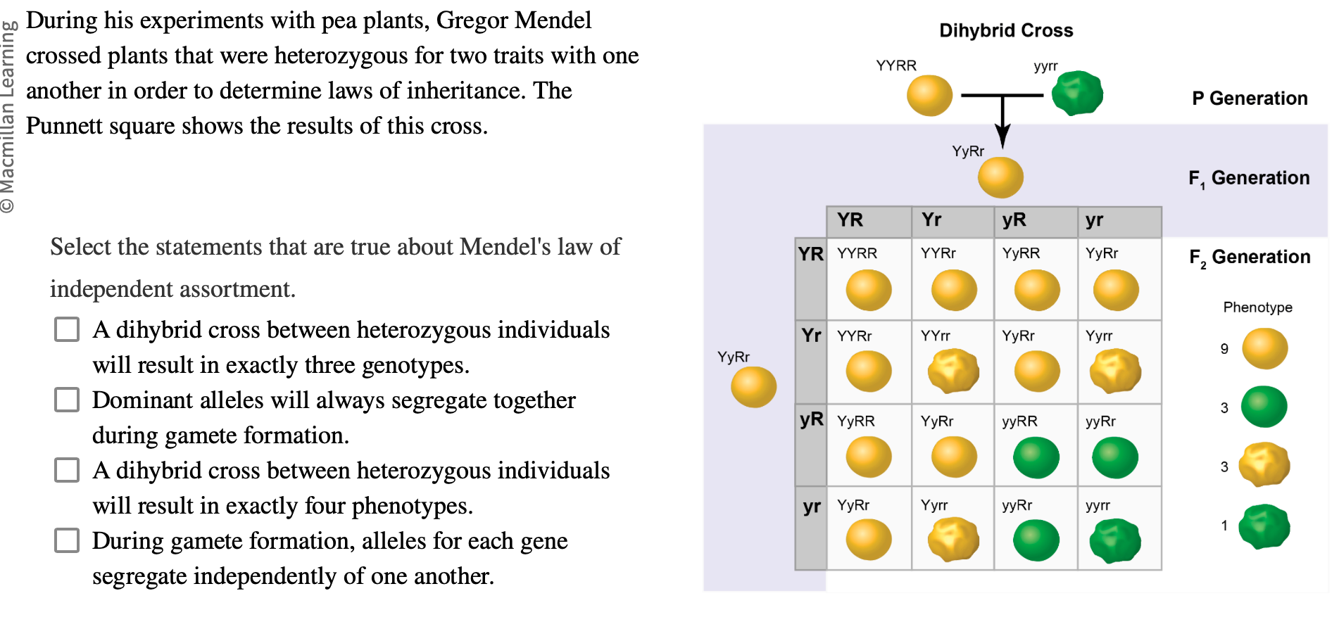Solved During his experiments with pea plants, Gregor Mendel | Chegg.com Solved During his experiments with pea plants, Gregor Mendel | Chegg.com