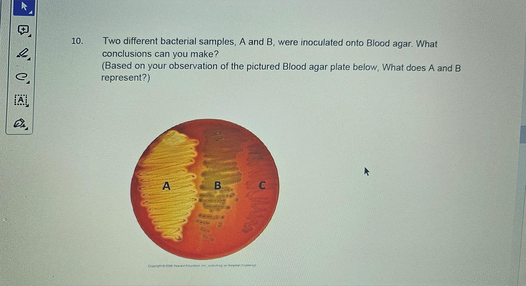 Solved Two different bacterial samples, A and B, ﻿were | Chegg.com