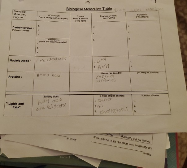Solved Biological Molecules Table Biological Molecule | Chegg.com