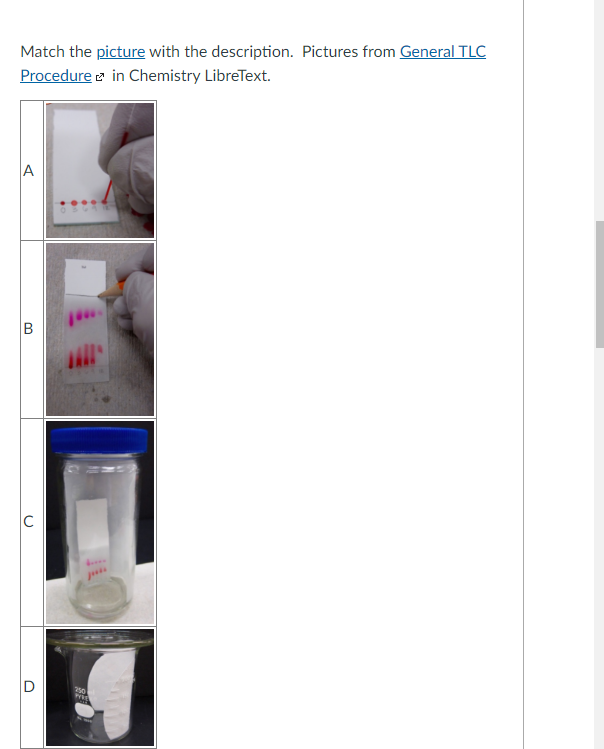 Solved E A B D E [Choose ] [Choose ] TLC chamber made with a | Chegg.com