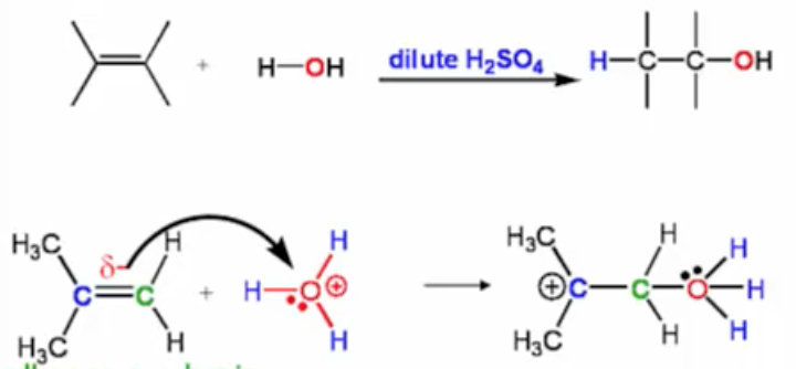 Solved Select the classification of the carbocation that | Chegg.com
