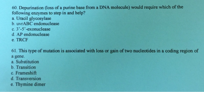 Solved 60. Depurination (loss of a purine base from a DNA | Chegg.com