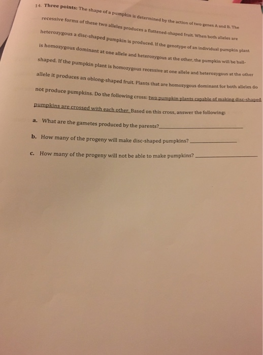 Solved 14. Three points: The shape of a pumpkin is | Chegg.com
