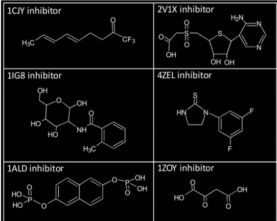 Solved Your enzyme is inhibited by one of the compounds | Chegg.com