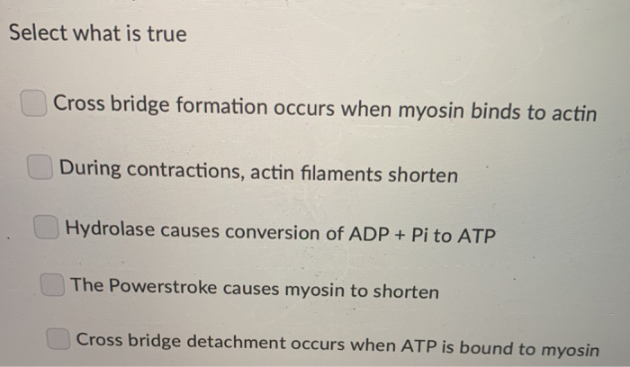 Solved Select what is true Cross bridge formation occurs | Chegg.com