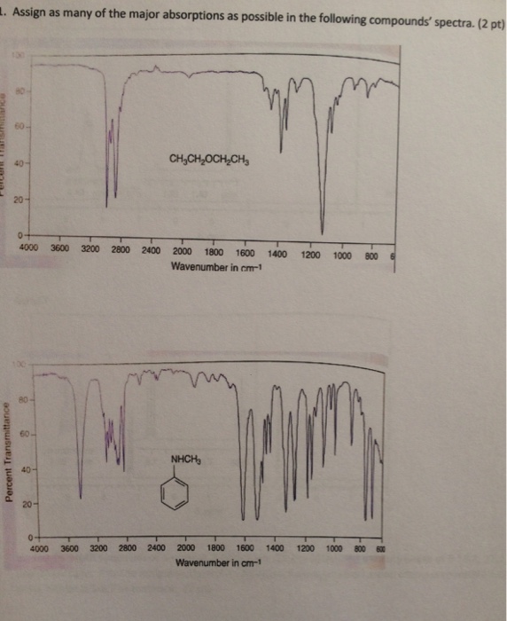 Solved Assign as many of the major absorptions as possible | Chegg.com