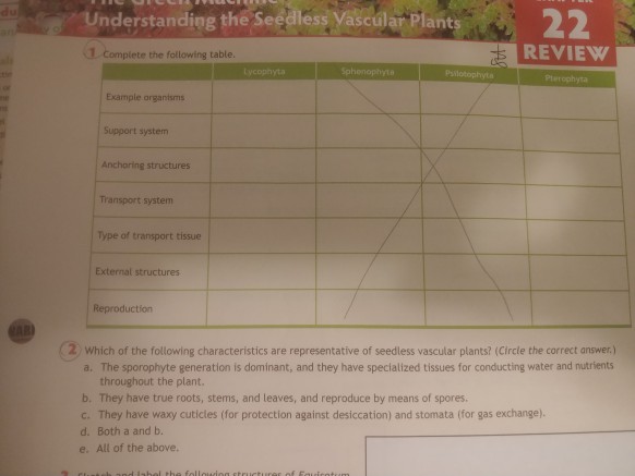 Solved Understanding the Seédless Vascular Plants 22 REVIEW | Chegg.com