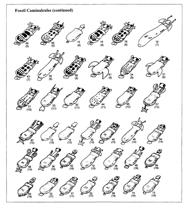 Solved Print the graphs and figures in this lab onto paper. | Chegg.com