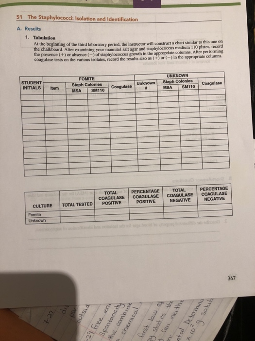 51 The Staphylococci: Isolation and Identification A. | Chegg.com