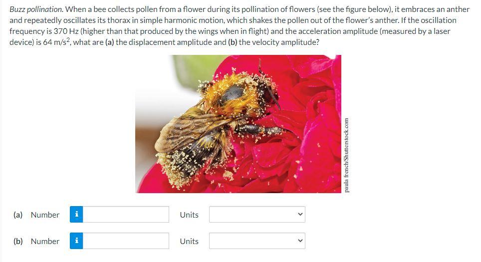 Solved Buzz pollination. When a bee collects pollen from a | Chegg.com
