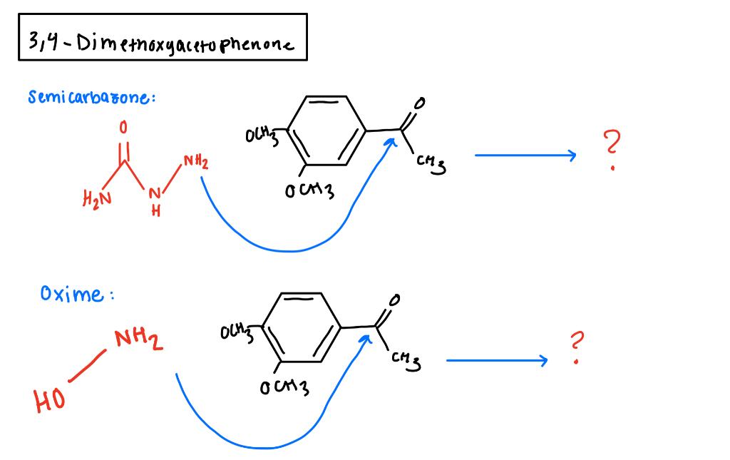 Solved 3,4-Dimethoxyacetophenone Semi carbazone: 0 ong 2. „А | Chegg.com