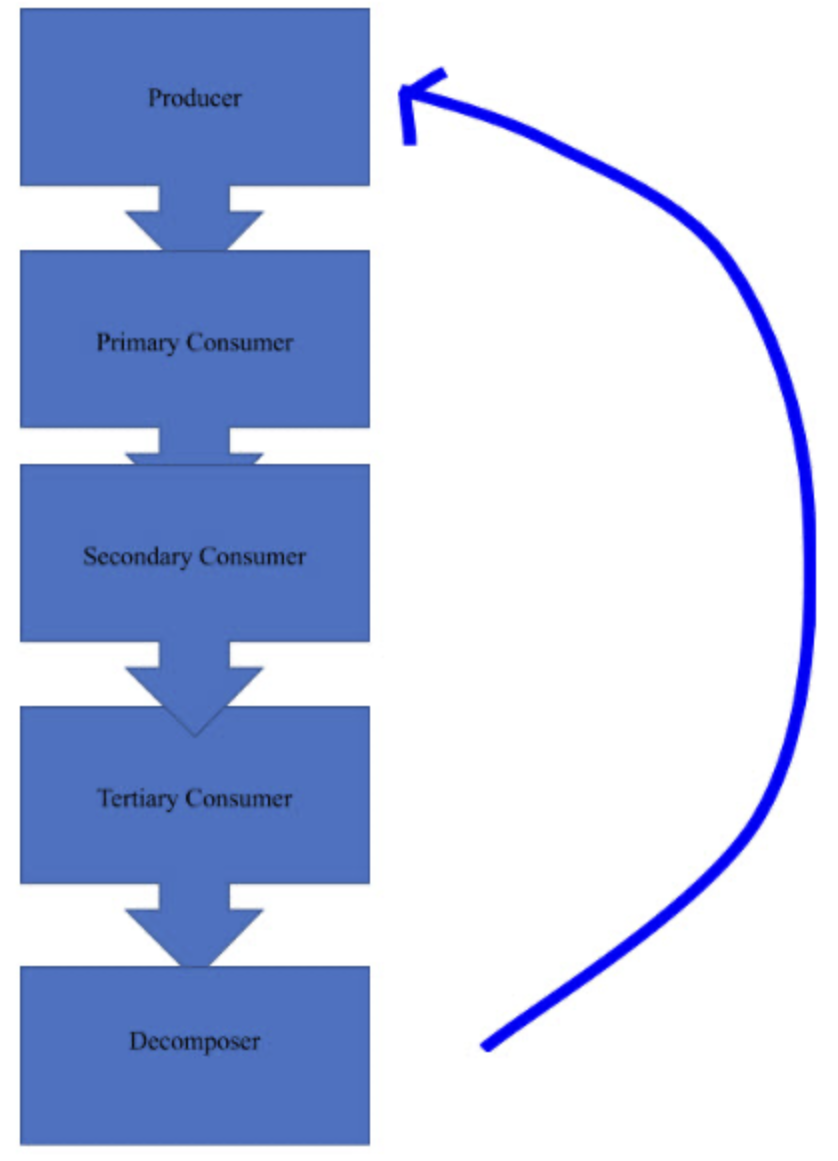 Solved PurposeThe purpose of this activity is to demonstrate | Chegg.com