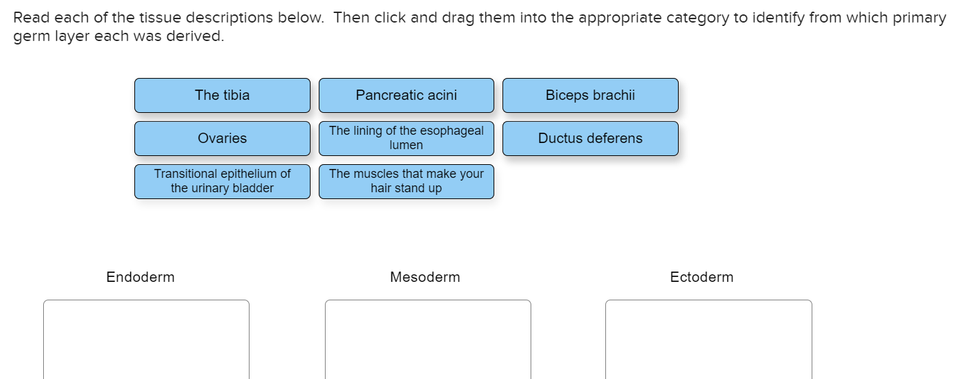 Solved Read each of the tissue descriptions below. Then | Chegg.com