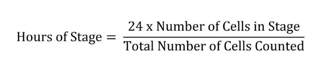 Solved Part 1: Calculating Time Spent in Each Cell Cycle | Chegg.com