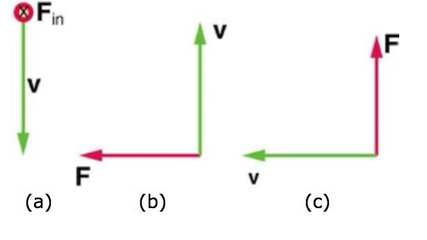 Solved What is the direction of the magnetic field that | Chegg.com