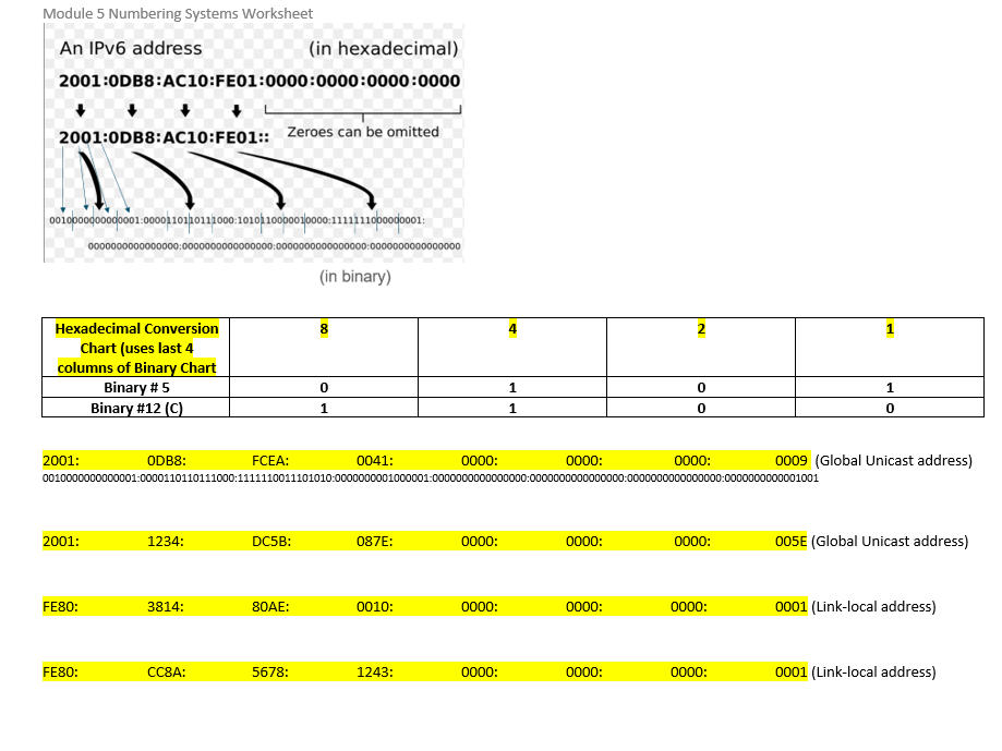 Solved Module 5 Numbering Systems Worksheet | Chegg.com