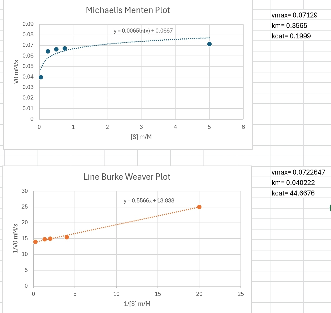 Solved Estimate V_max, K_m, ﻿ k_cat, and Catalytic | Chegg.com