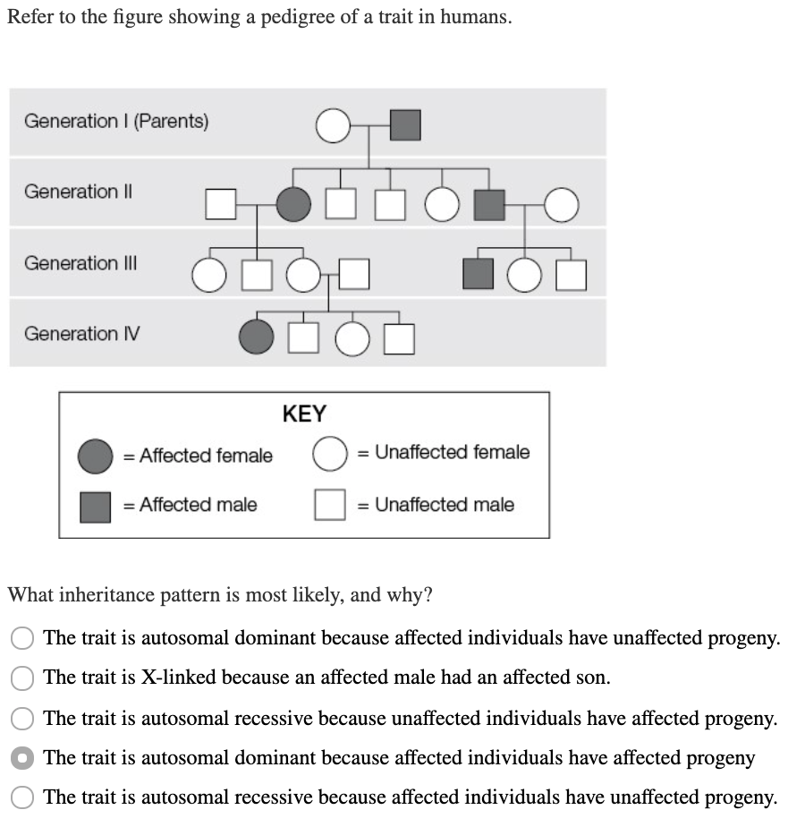 Solved The e4 allele of the gene that codes for the Apo-E | Chegg.com