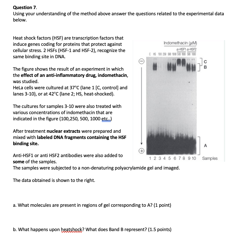 Question 7. Using your understanding of the method | Chegg.com
