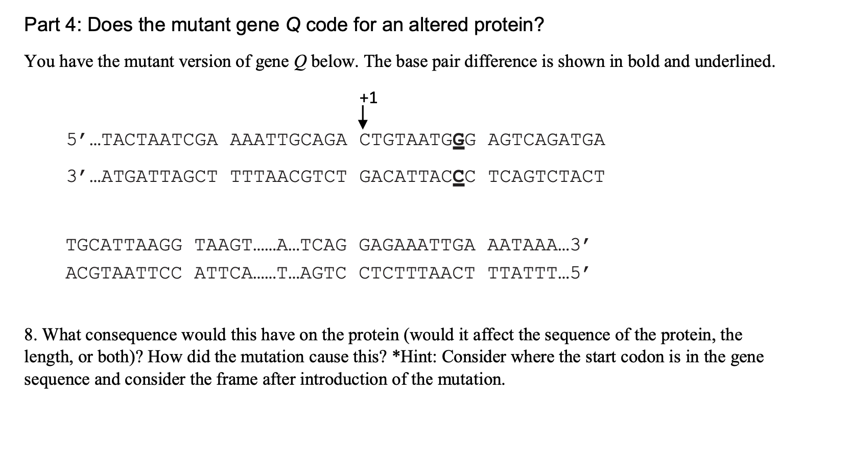 Solved Part 4: Does the mutant gene Q code for an altered | Chegg.com