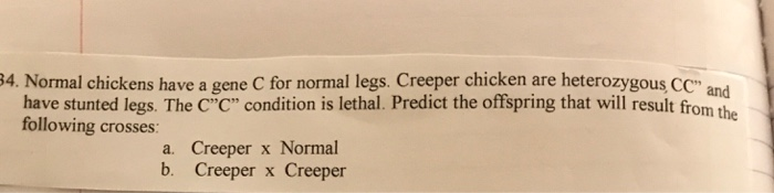 Solved 4. Normal chickens have a gene C for normal legs. | Chegg.com