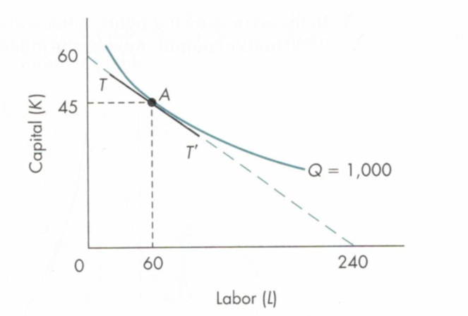 Solved (a) What is the Marginal Rate of Technical | Chegg.com