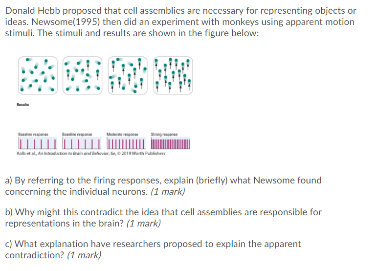 Solved Donald Hebb proposed that cell assemblies are | Chegg.com