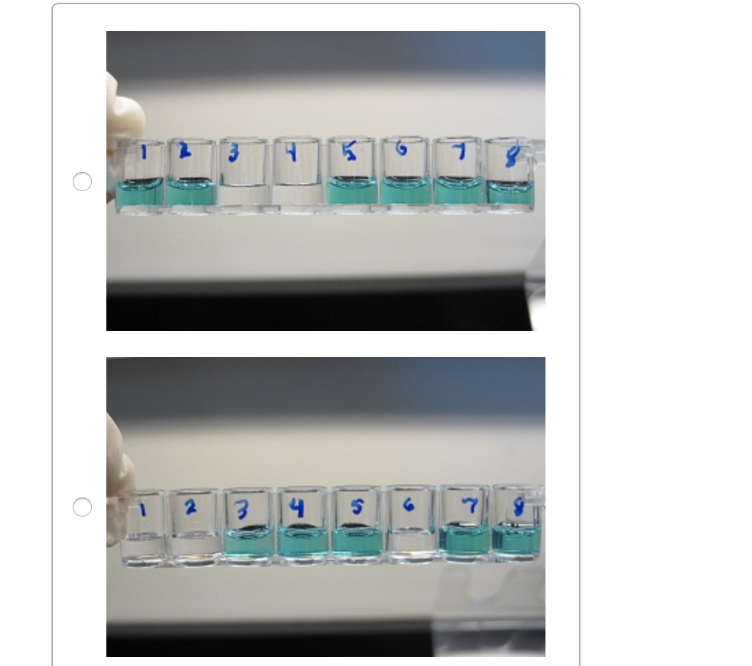 Solved A fellow student INCORRECTLY performs an ELISA. | Chegg.com Solved A fellow student INCORRECTLY performs an ELISA. | Chegg.com