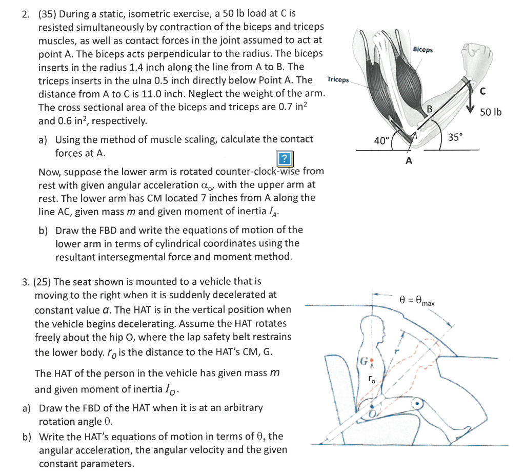 (35) During a static, isometric exercise, a 50 lb | Chegg.com