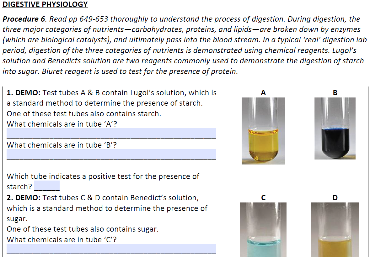 Solved DIGESTIVE PHYSIOLOGY Procedure 6. Read pp 649-653 | Chegg.com
