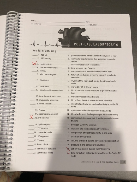 Solved NAME INSTRUCTOR SECTION/GROUP: POST-LAB: LABORATORY 6 | Chegg.com