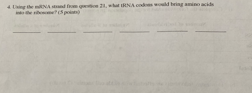Solved 3. Use the following DNA strand to identify the | Chegg.com