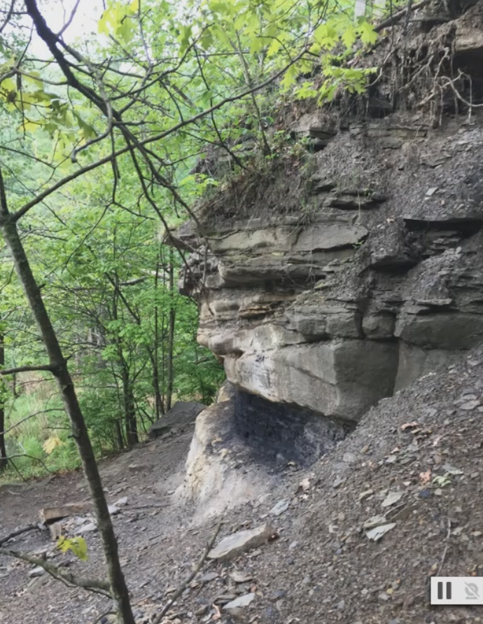 Solved Next, note the interbedded layers of sandstone that | Chegg.com