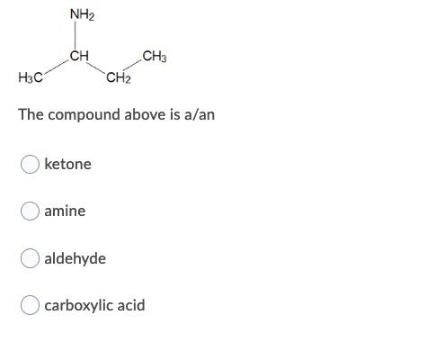 Solved NH2 CH CH3 CH2 H3C The compound above is a/an ketone | Chegg.com