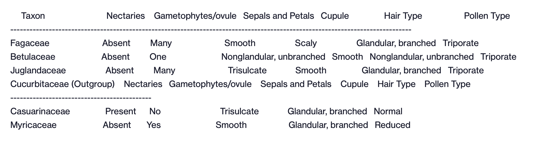 Solved Create character matrix and an an annotated | Chegg.com