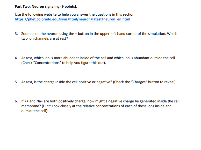 Solved Part Two: Neuron signaling (9 points). Use the | Chegg.com