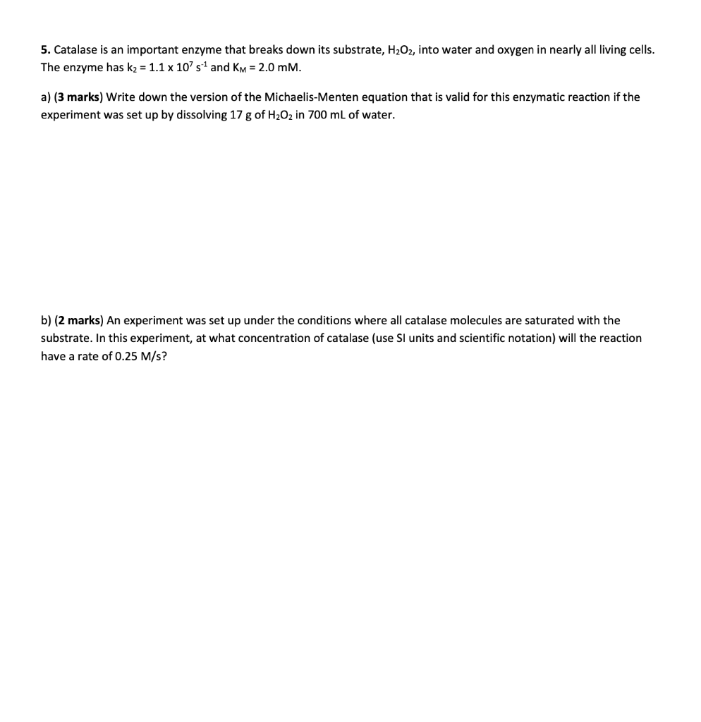 Solved 5. Catalase is an important enzyme that breaks down | Chegg.com