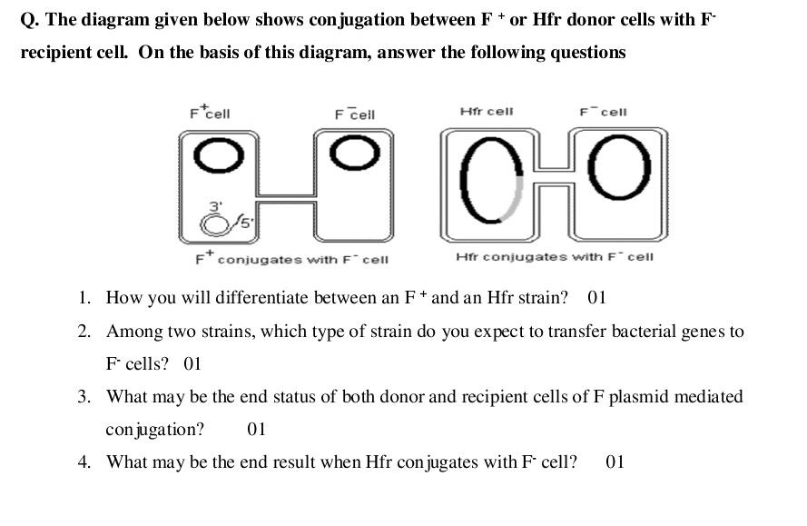 Solved Q. The diagram given below shows conjugation between | Chegg.com