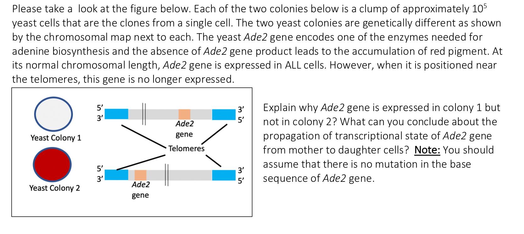 Solved Please take a look at the figure below. Each of the | Chegg.com