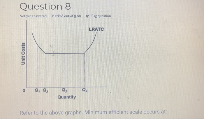 Minimum Efficient Scale
