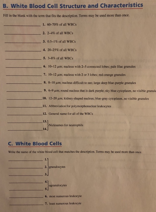 Solved Reviewing Your Knowledge EXERCISE 26 A. | Chegg.com