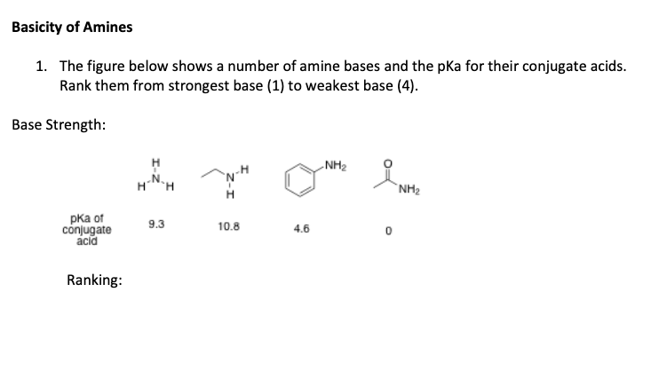 Solved Basicity of Amines 1. The figure below shows a number | Chegg.com