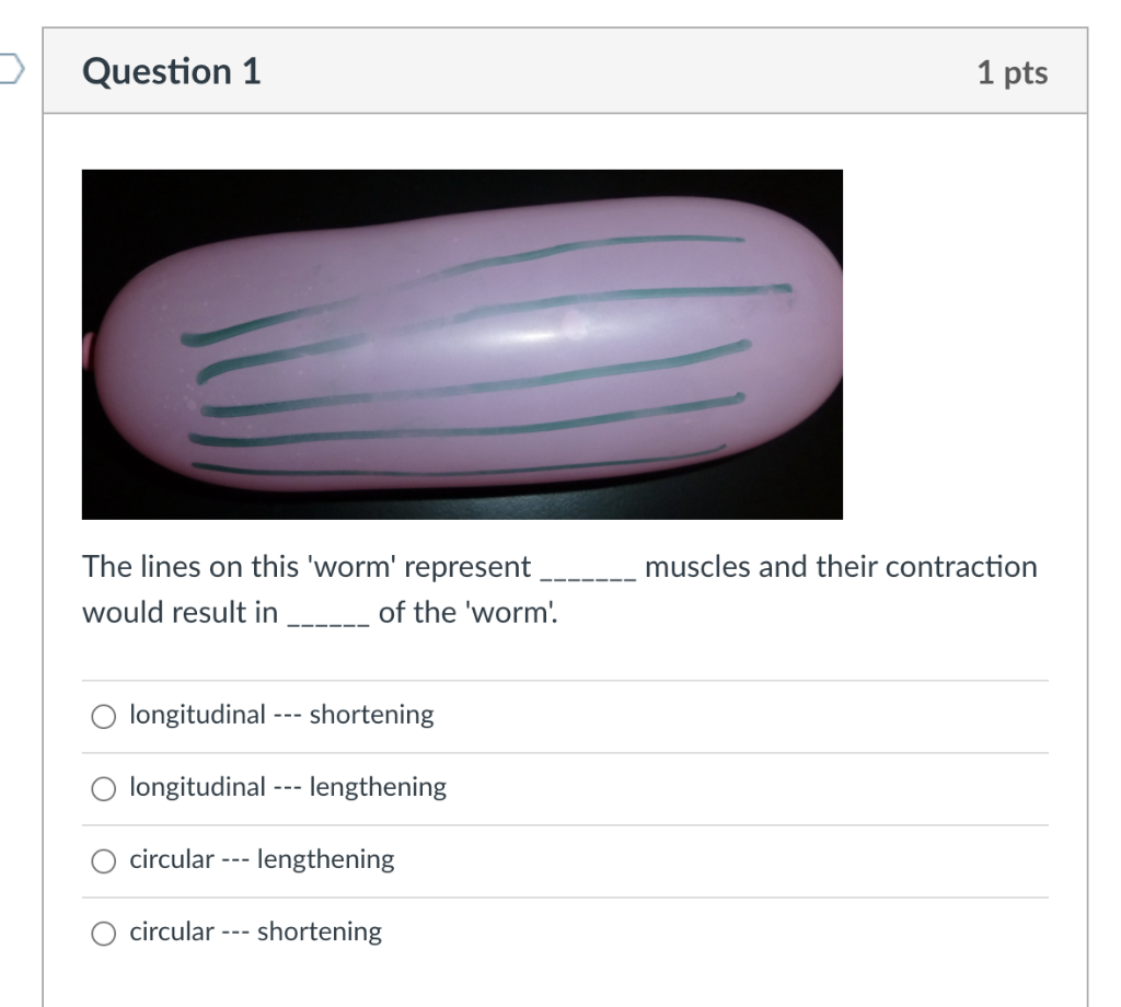 Solved Question 1 1 pts muscles and their contraction The | Chegg.com