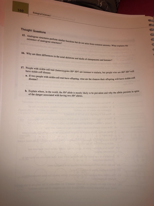 Solved Thought Questions existence of analogous structures? | Chegg.com