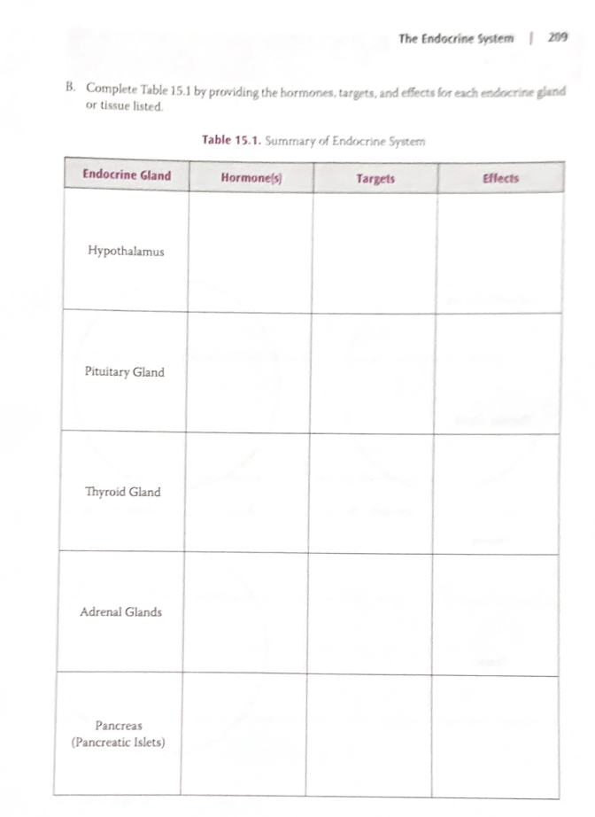 Endocrine System Table