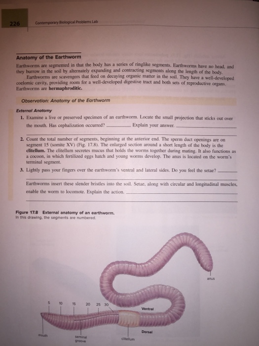 Solved Contemporary Biological Problems Lab Anatomy Of The Chegg