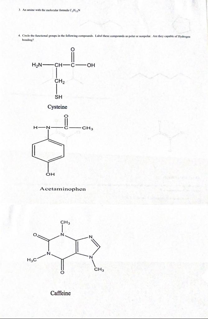 Solved 3 An amine with the molecular formula CHN 4. Circle | Chegg.com