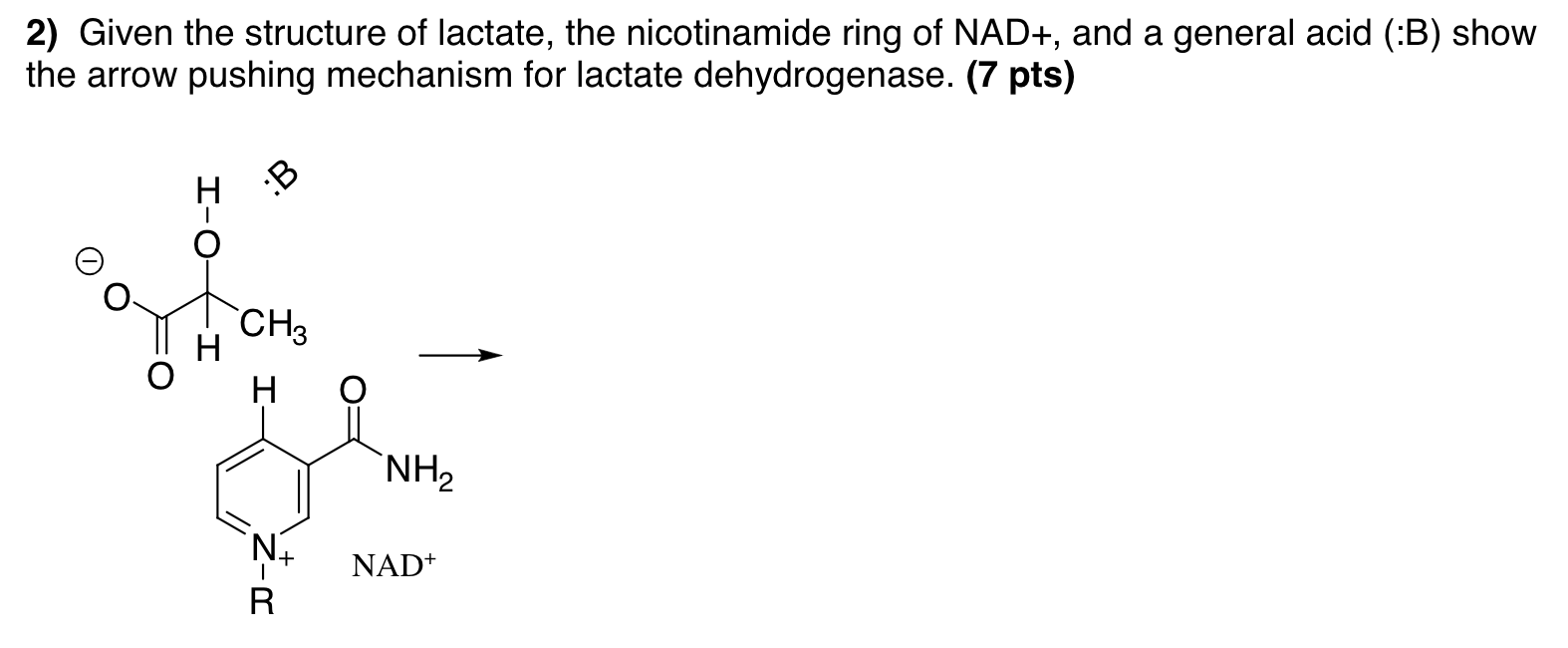 Solved 2) Given the structure of lactate, the nicotinamide | Chegg.com