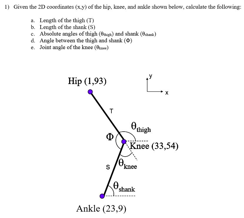 Solved 1) Given the 2D coordinates (x,y) of the hip, knee, | Chegg.com